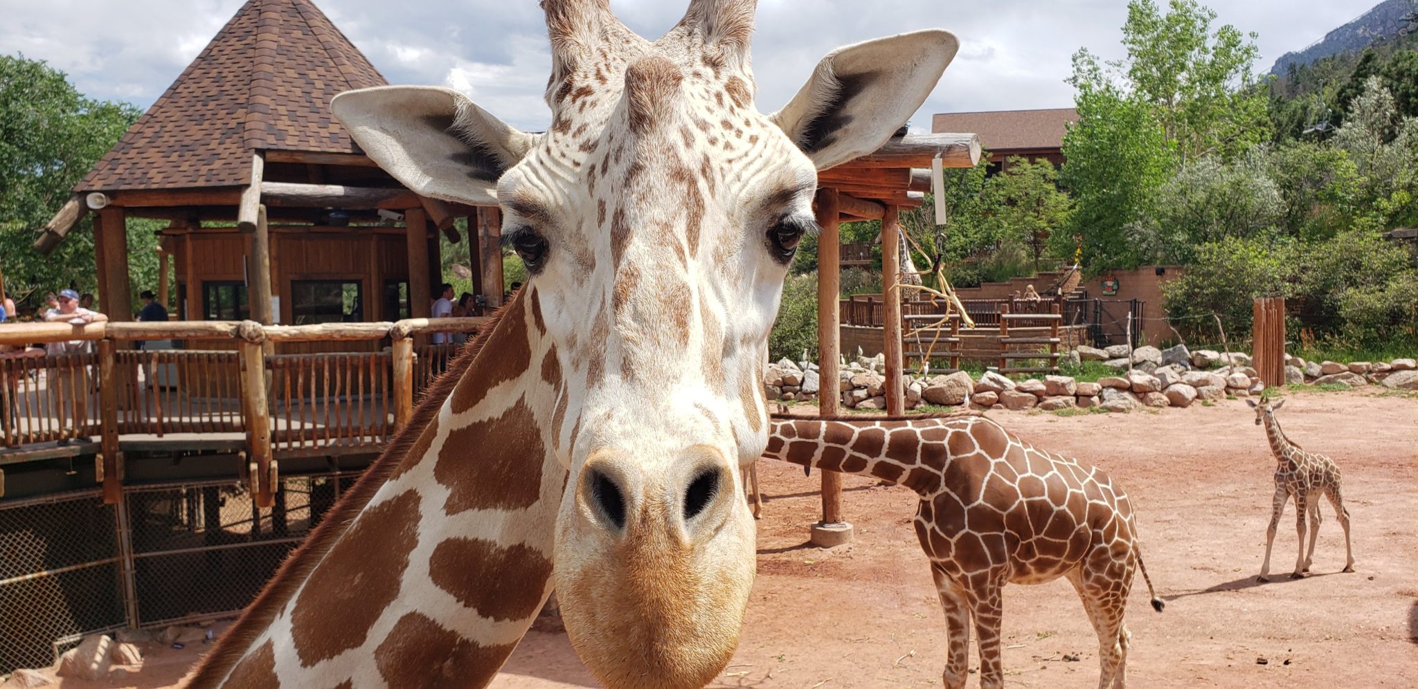 Virtual Field Trips: Explore & Experience the World - Traveling in Heels